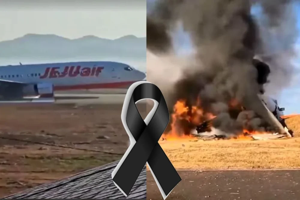 Choque com pássaros? O que se sabe sobre acidente aéreo com 181 pessoas ...